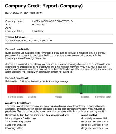 16+ Best Free Credit Report Templates - Free Word, PDF, Docs