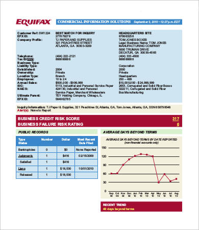 16+ Best Free Credit Report Templates - Free Word, PDF, Docs