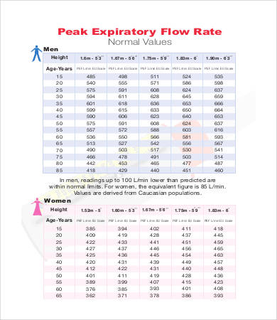 Peak Flow Chart Templates - 11+ Free PDF Documents Download
