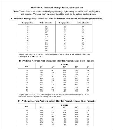 Peak Flow Chart Templates - 11+ Free PDF Documents Download