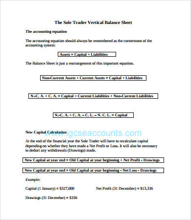 Balance Sheet Format - 21+ Free PDF Documents Download
