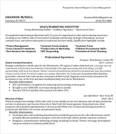 14+ Sample Executive Resume Templates - PDF, DOC
