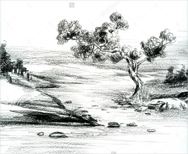 7+ Nature Drawings, Art Ideas