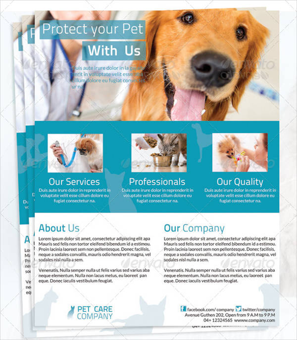 Dog Walking Template Awesome Design Layout Templates