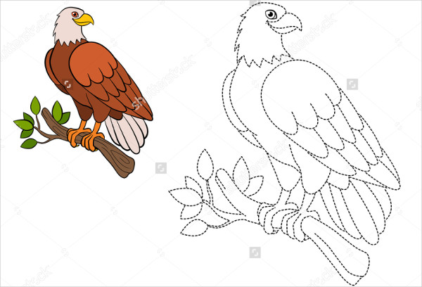 13+ Printable Bird Templates - Free Sample, Example, Format Download