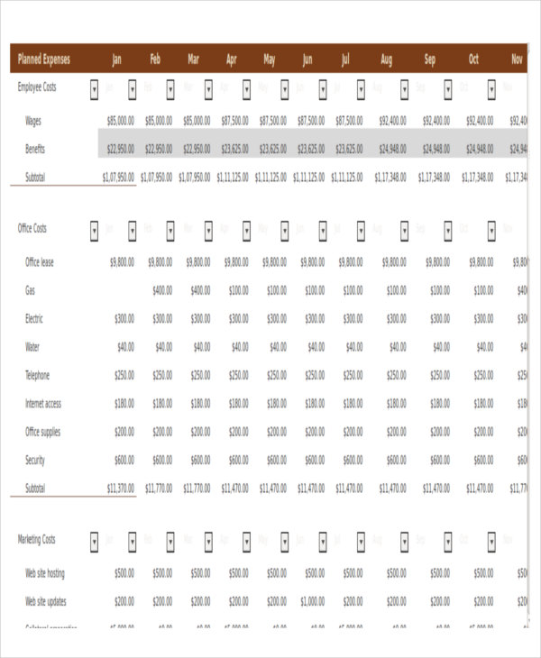 11+ Business Budget Templates in Excel, Word, PDF