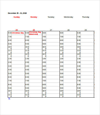 Hourly Calendar - 9+ Free Word, Excel, PDF Documents Download