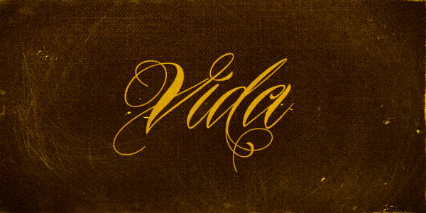 8+ Urban Fonts - TTF, OTF Format Download