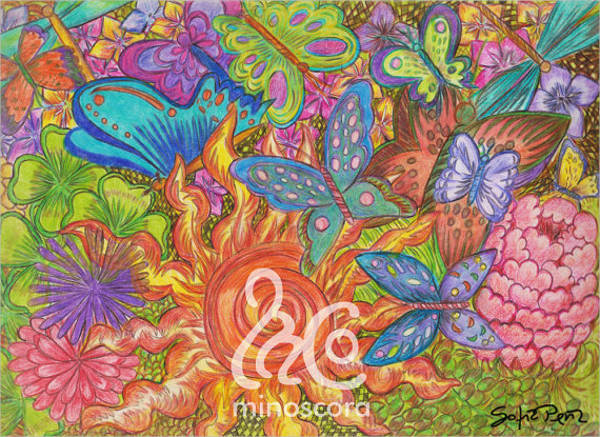 9+ Butterfly Drawings, Art Ideas