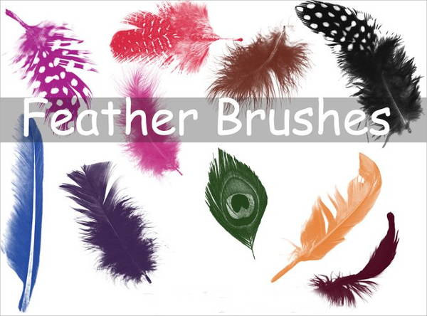 7+ Feather Brushes - ABR Format Download