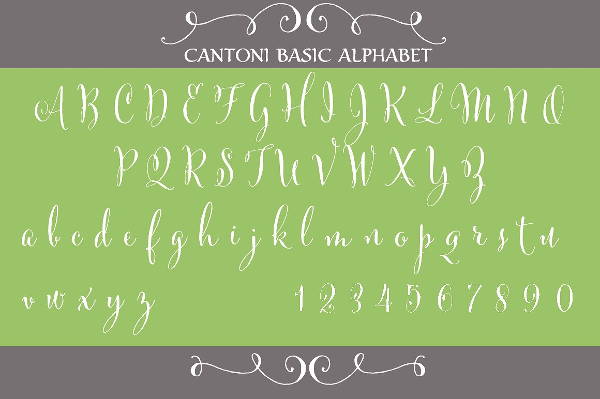 8+ Cool Letter Fonts - TTF, OTF Format Download