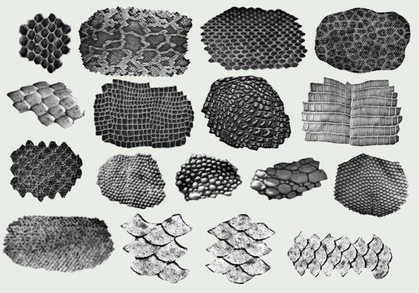 8+ Snake Brushes - ABR Format Download