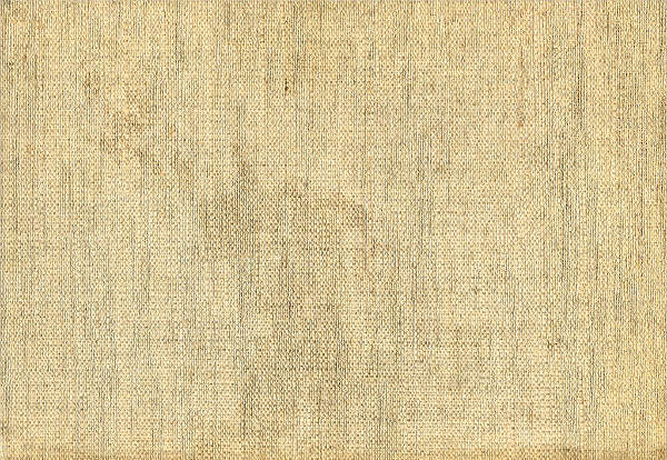 9+ Book Textures - Free Sample, Example, Format Download