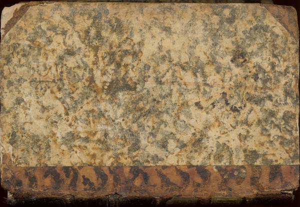 9+ Book Textures - Free Sample, Example, Format Download