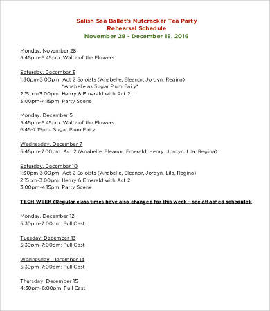 13+ Party Schedule Templates in Word | Google Docs | Google Sheets ...