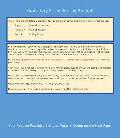 Expository Essay Template - 9+ Free Word, PDF Documents Download
