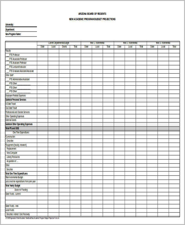 12 Program Budget Templates Word PDF Pages