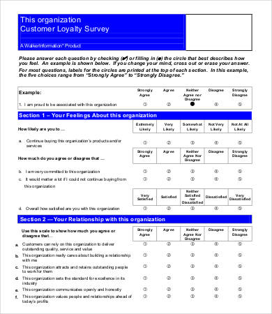Loyalty Survey Template - 4+ Free Word, PDF Documents Download