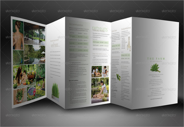 9+ Accordion Fold Brochure - Printable PSD, AI, InDesign, Vector EPS ...