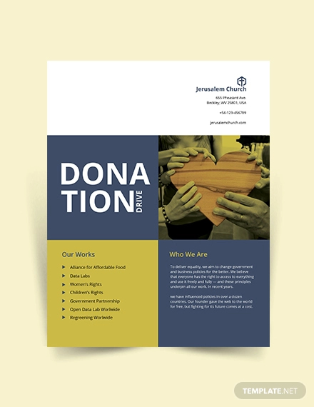 16 Donation Flyers PSD Word AI EPS Vector