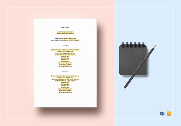 Credit Report Template - 17+ Free PDF, Excel, Word Documents Download