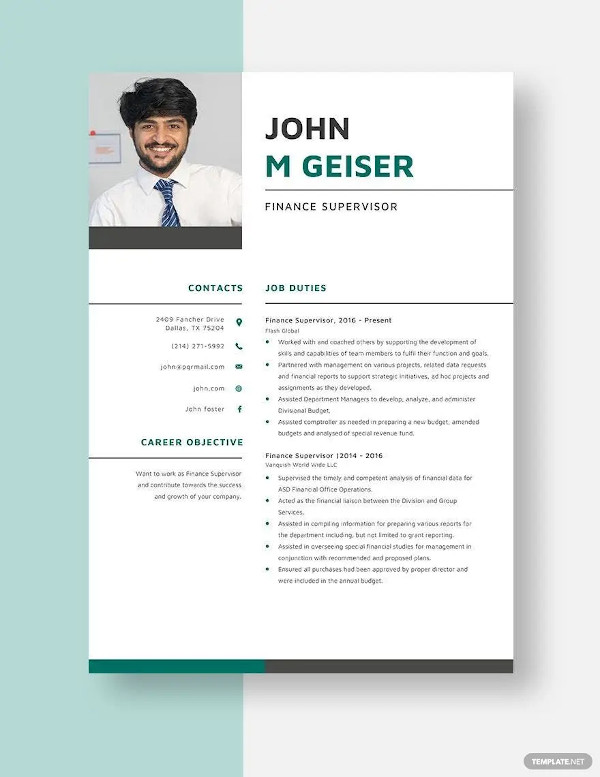 17+ Finance Resume Templates - PDF, DOC