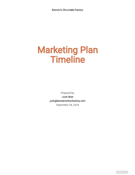Marketing Plan Sample - 31+ Free PDF, Word Documents Download