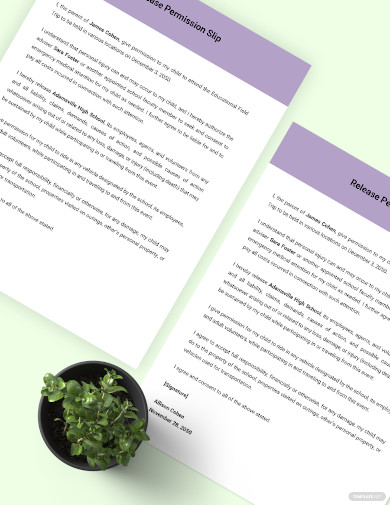 Permission Slip Templates - 17+ Free Word, PDF Documents Download