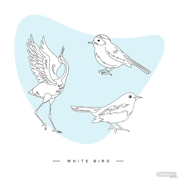 13+ Printable Bird Templates - Free Sample, Example, Format Download