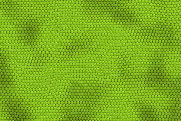 8+ Scale Textures - Free Sample, Example, Format Download