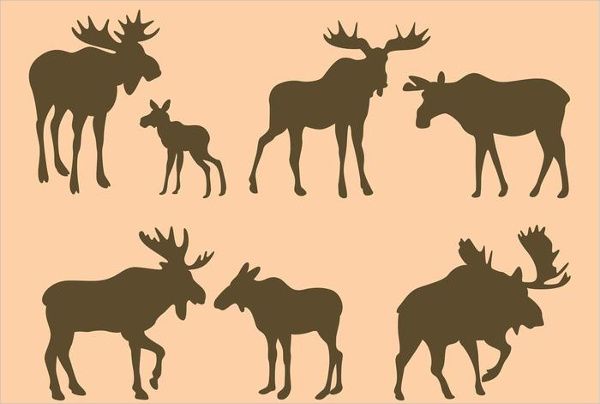 8+ Pyrography Patterns | Free & Premium Templates