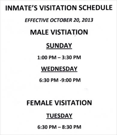 Visitation Schedule Template - 15+ Word, Excel, PDF Format Download