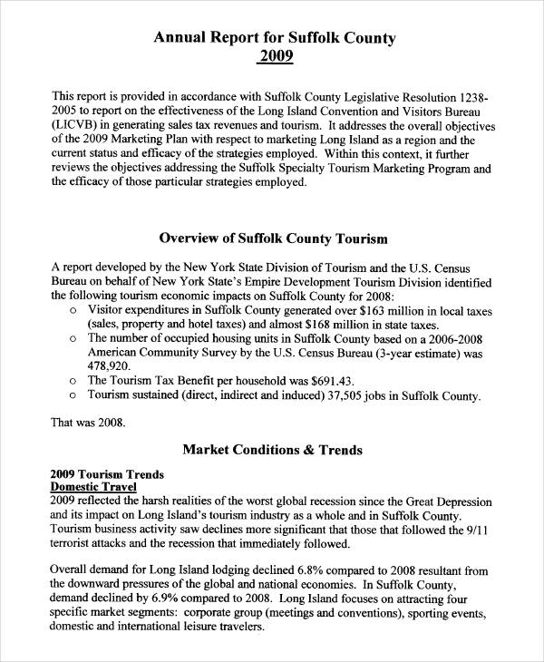 10+ Business Activity Report Templates- Word, PDF, Pages