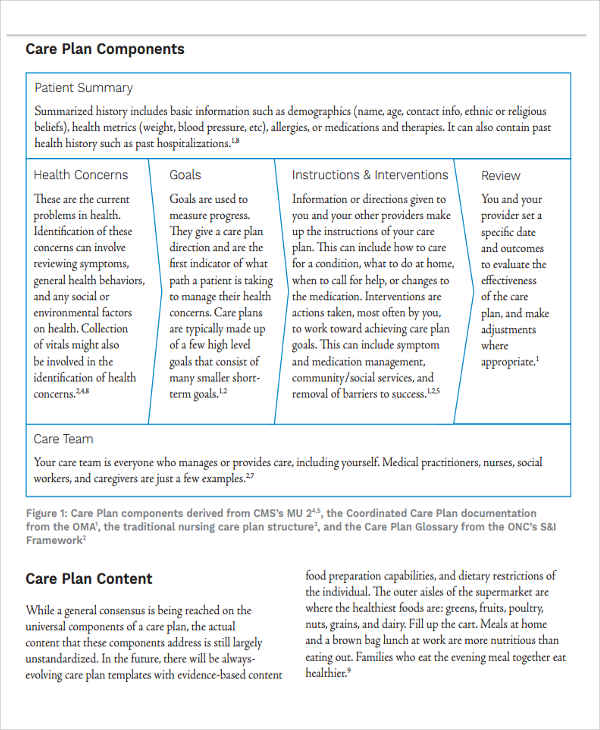 Printable Baseline Care Plan Template Printable Templates