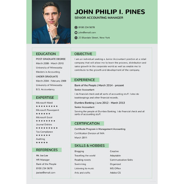 35+ Experienced Resume Format Templates - PDF, DOC