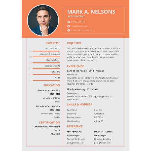 35+ Experienced Resume Format Templates - PDF, DOC