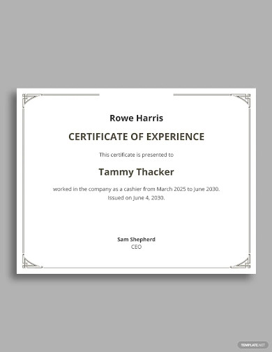 31+ Experience Letter Templates - PDF, DOC