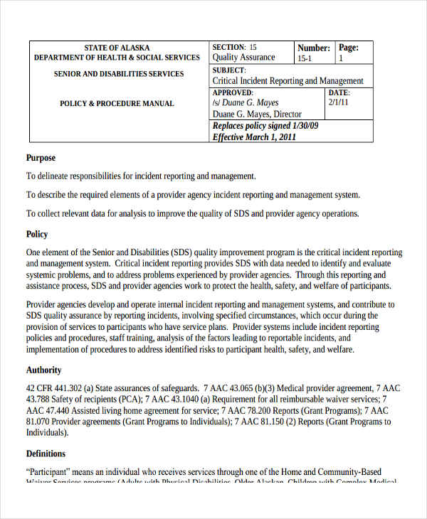30+ Incident Report Template in PDF