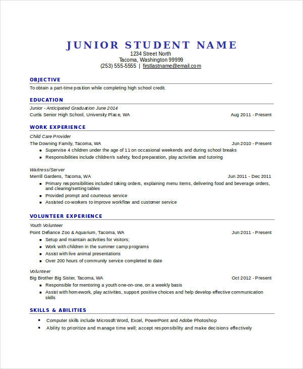 46 Download Resume Templates PDF DOC