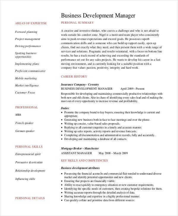52+ Professional Manager Resumes - PDF, DOC