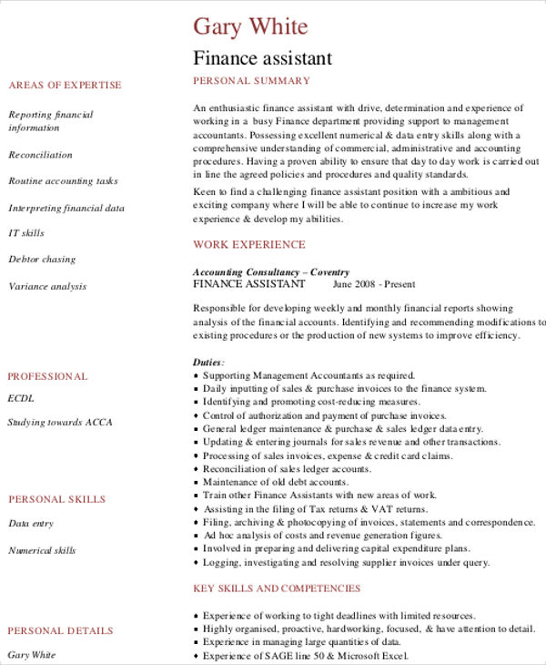 28+ Finance Resumes in PDF