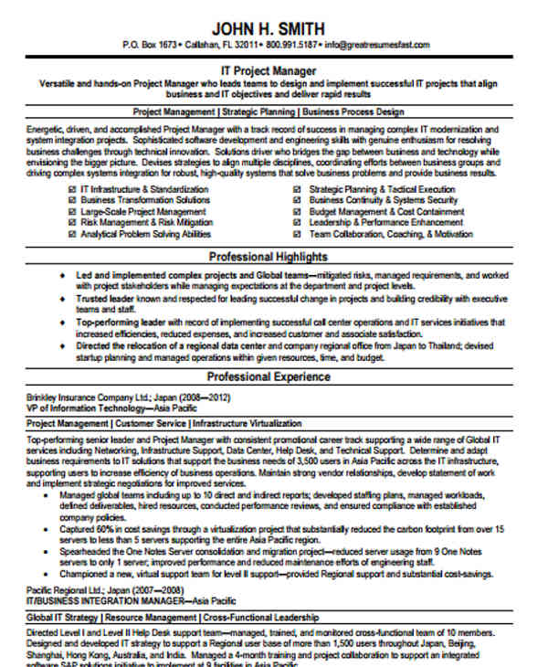 20+ IT Resume Templates in PDF