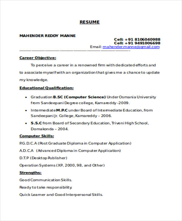 35+ IT Resume Templates in Word