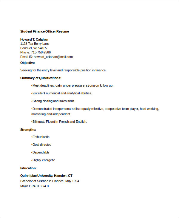 33+ Finance Resume Templates - PDF, DOC