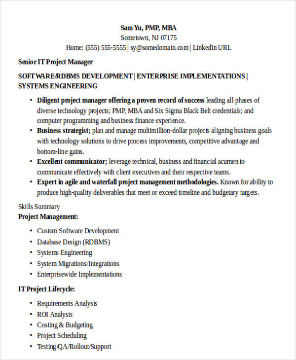 35+ IT Resume Templates in Word