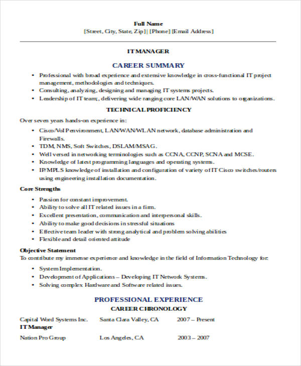 35+ IT Resume Templates in Word