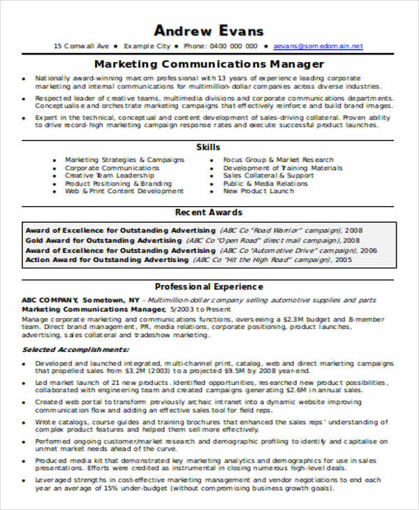 35+ IT Resume Templates in Word