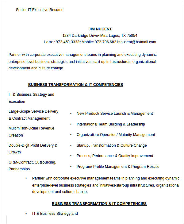 20+ Executive Resume Templates - PDF, DOC