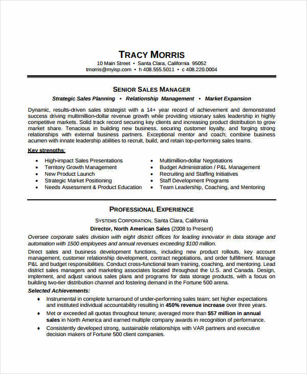 18 Professional Sales Resume Templates PDF DOC