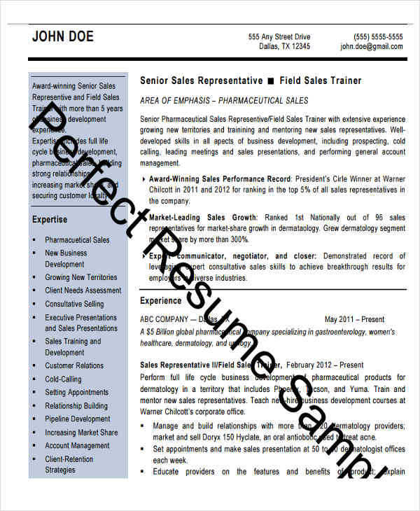 20+ Sales Resume Samples - PDF, DOC